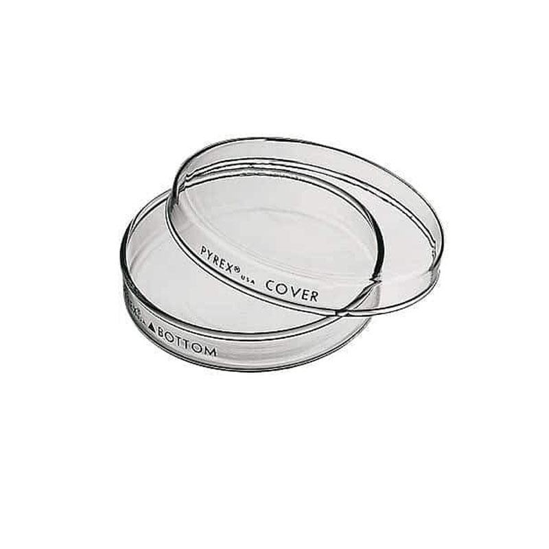 Placa Petri Completo con tapa y base - Medilab.pe