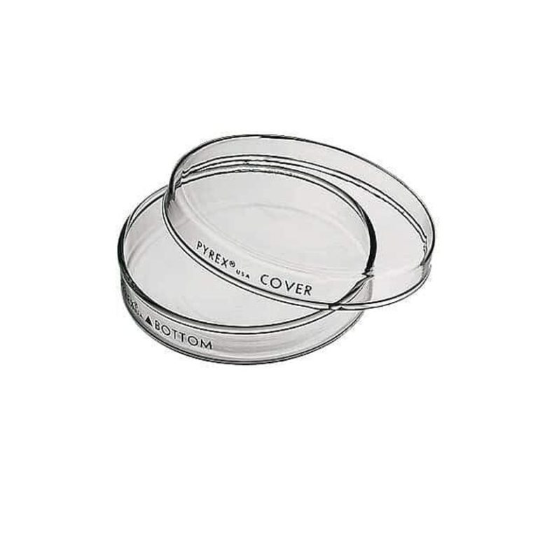 Placa Petri Completo con tapa y base - Medilab.pe